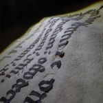 Oak Gall Ink – Bryony Coombs