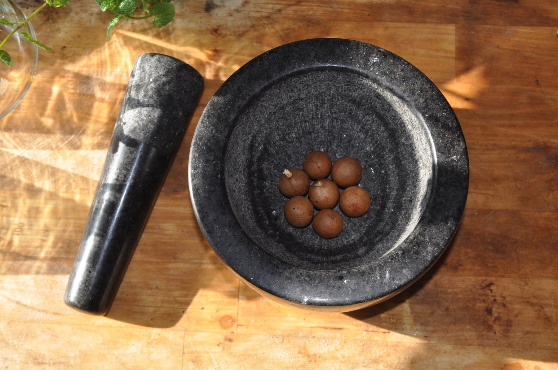 Oak Gall Ink – Bryony Coombs