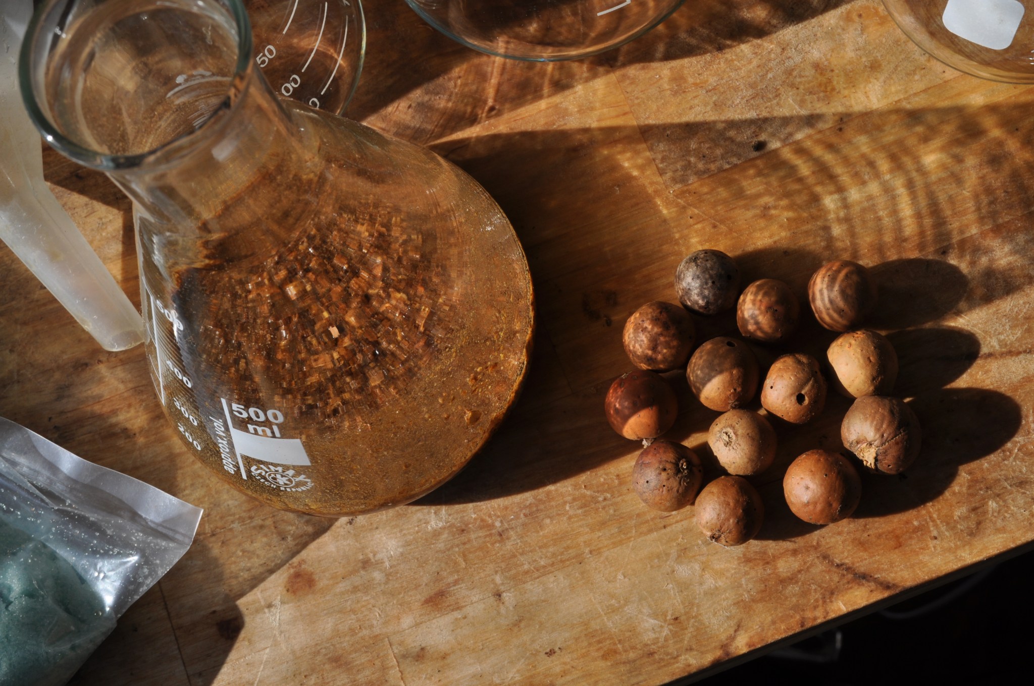 Oak Gall Ink – Bryony Coombs