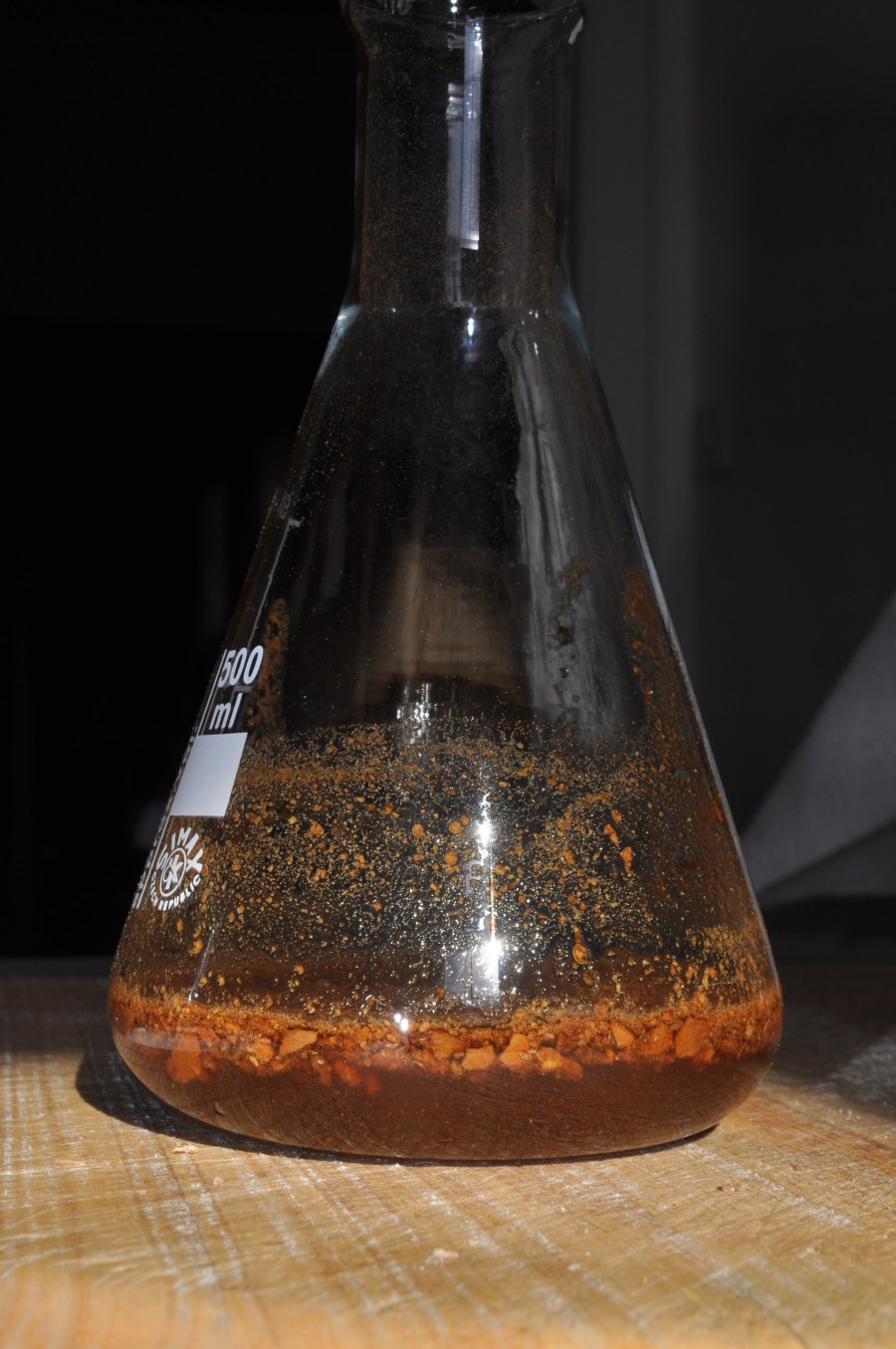 Oak Gall Ink – Bryony Coombs