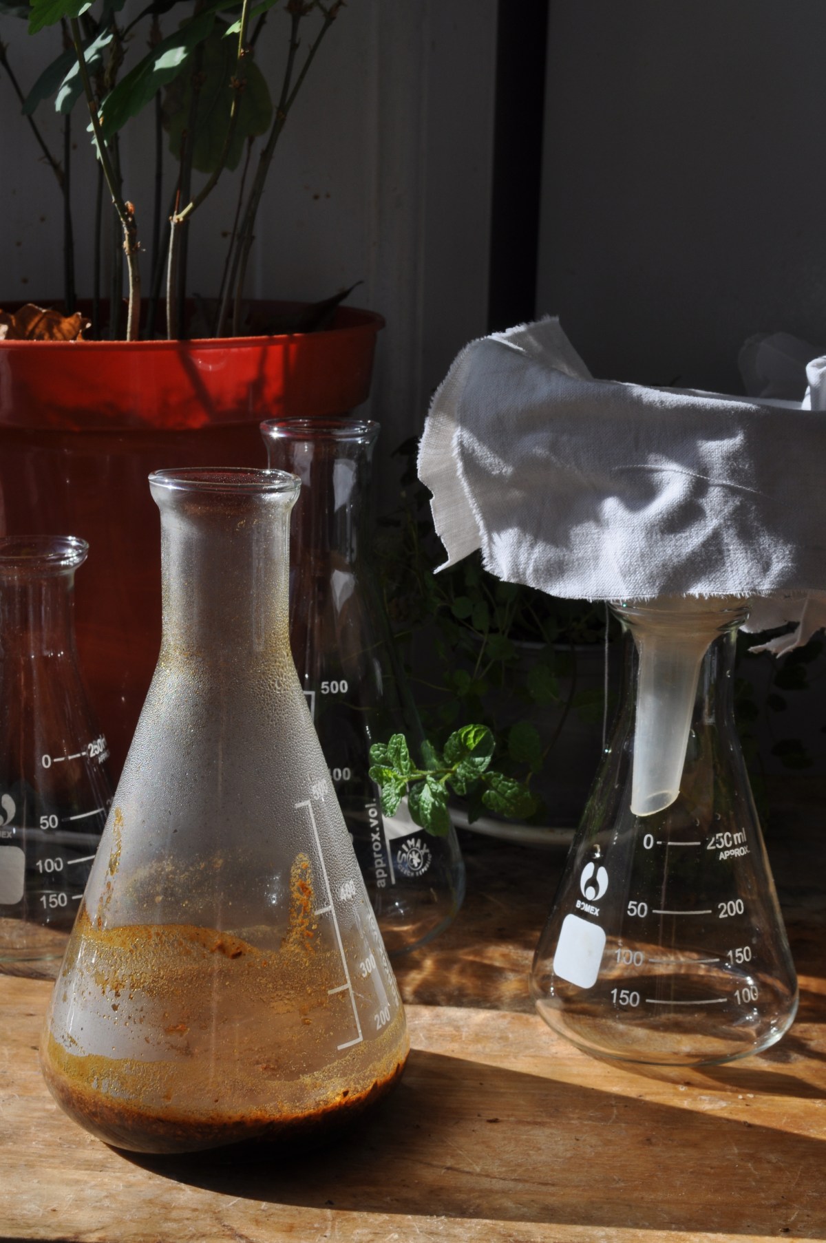 Oak Gall Ink – Bryony Coombs